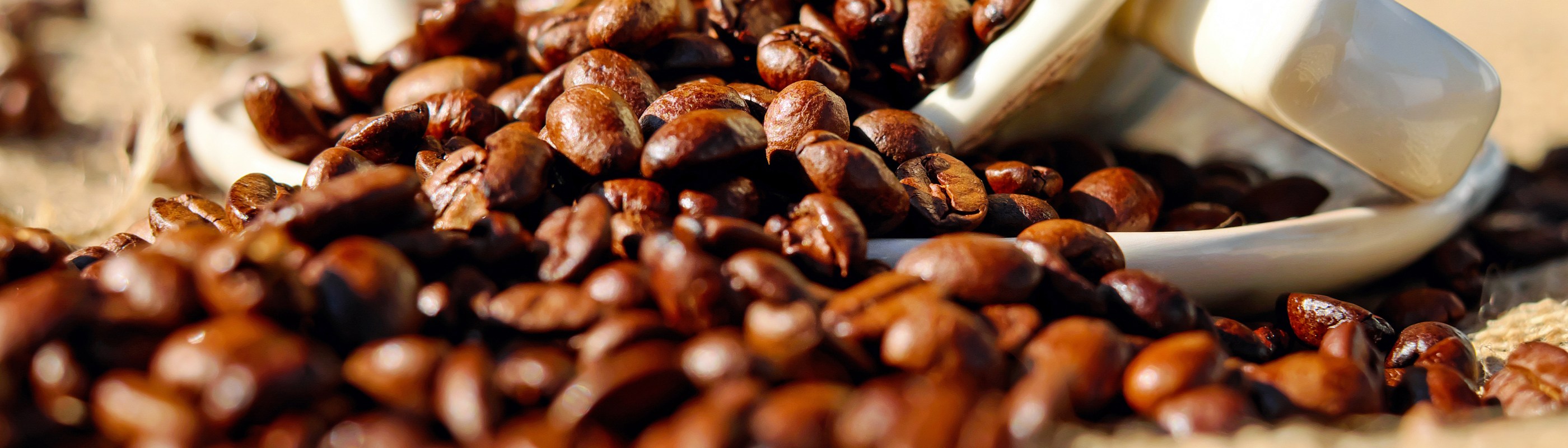 Coffee Boy – S. A. (Austin) Chant